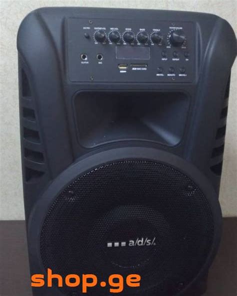 კარაოკე დინამიკი