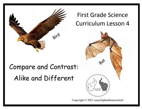 compare and contrast alike and different first grade science curriculum