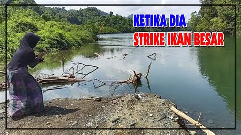Ketika Cewek Cantik Mancing Strike Ikan Besar Youtube