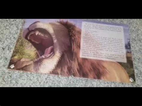 The Wild Cd Read Along Backwards Youtube