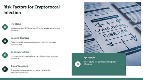 Understanding Cryptococcal Meningitis Causes Symptoms And Treatments Ppt Slides St Ai Ppt