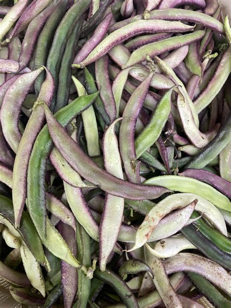 Opera Fruit And Veg Cape Town