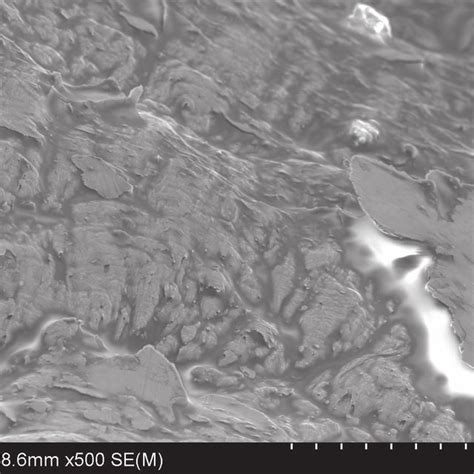 Structure Of Cu Graphene Fracture Surface Download Scientific Diagram