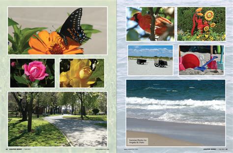 Summer 2022 Photos The Juniper Park Civic Association