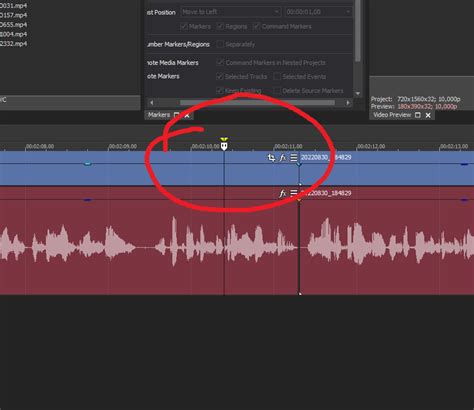 How Do I Keep Up With The Cursor In Timeline During Playback Rvegaspro