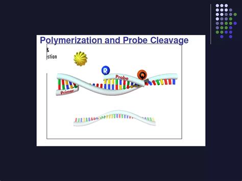 Real Time Pcr PPT