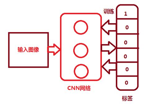 crnn网络结构详解 csdn博客