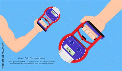 Handgrip Muscle Strength Scale Dynamometer Testing Measure Therapist Grading Diagnostic Range Of