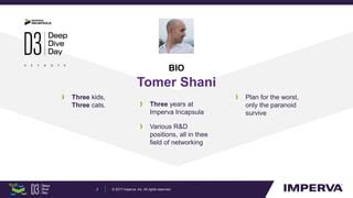 D TLV Advanced DDoS Mitigation Techniques PPTX Information And Network Security Computing