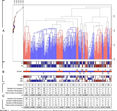 Figure 1 From Structure Variability Binding Site Leukemia B Cells Show Limited Igs Expressed By