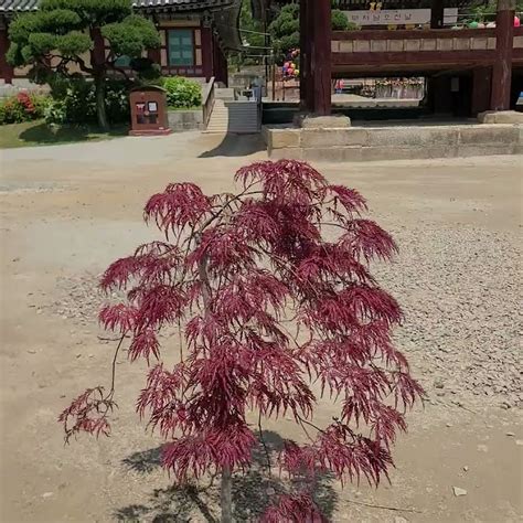 흔들리는 것은 약한것이 아니라 유연한거야 Youtube