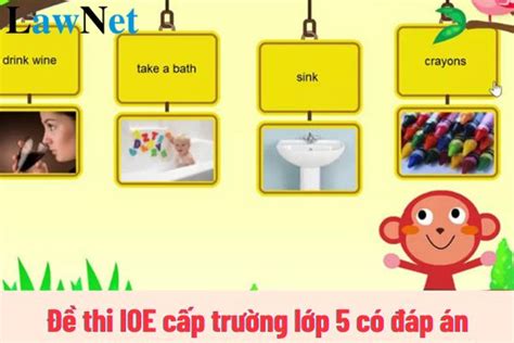 Vietnam What Are The Question Papers And Answers Of The School Level Ioe Exam For 5th Grade