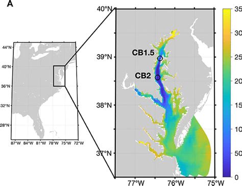 Ordo Fraterna Fibonacci On Linkedin Nutrient Management Offsets The Effect Of Deoxygenation And