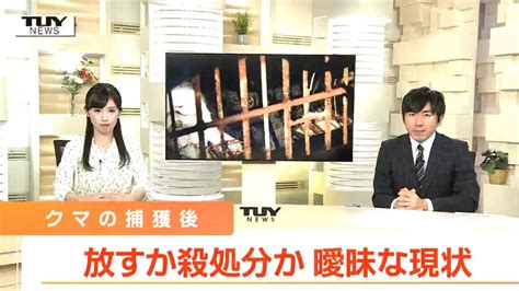 クマを放す、殺処分する、どう決める？ 県内で相次ぐクマの出没…捕獲後の現状と課題を専門家に聞く Tbs News Dig