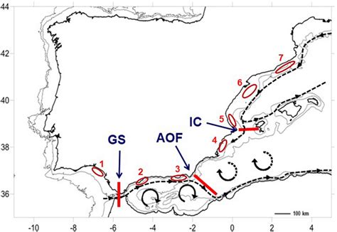 Sampling Populations Of Liocarcinus Depurator In The Download