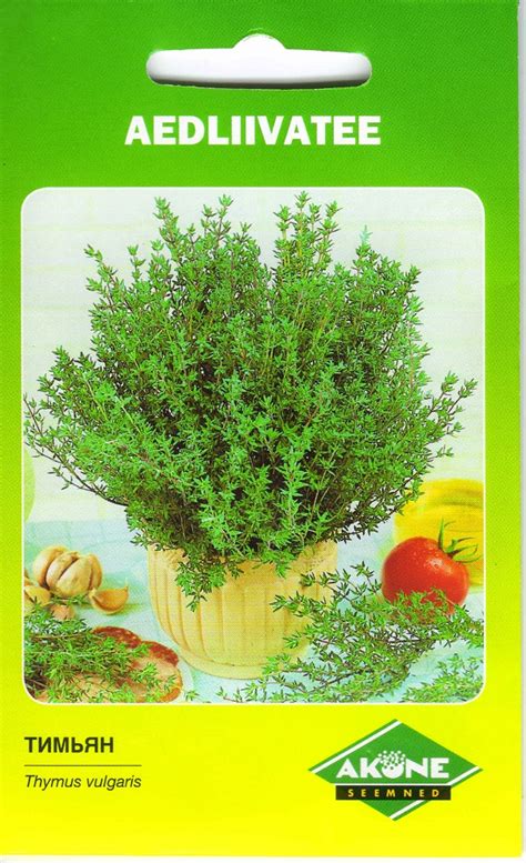 Aed Liivatee Tüümian Aedik
