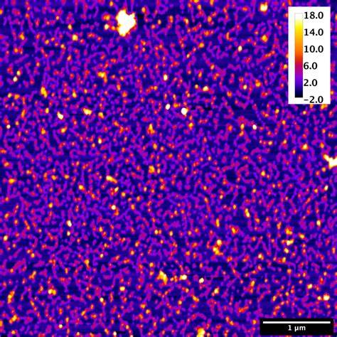 Figure S6: AFM image of a RC covered Au(111) facet prepared using 5 µM ...