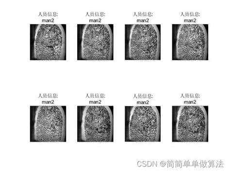 基于深度学习的人员指纹身份识别算法matlab仿真 简简单单做算法 博客园
