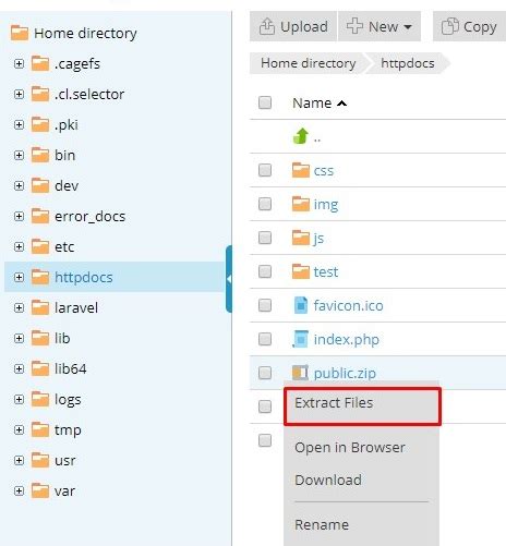 Dear Mengupload Laravel File Framework Of Plesk Id Support Portal