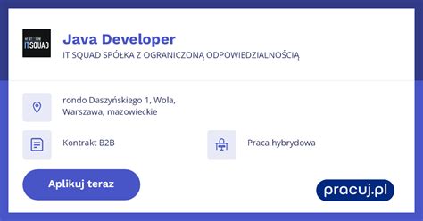 Oferta Pracy Java Developer It Squad SpÓŁka Z OgraniczonĄ OdpowiedzialnoŚciĄ Warszawa