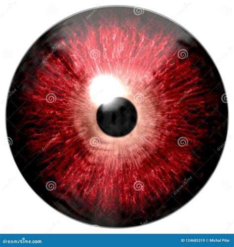 Red Eye Texture Isolated On White Background Stock Image Image Of Infrared Irritation 124685319