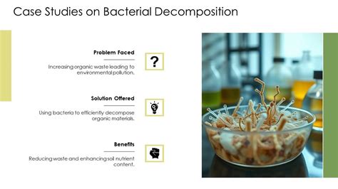 Case Studies On Bacterial Decomposition Decomposing Bacteria Ppt