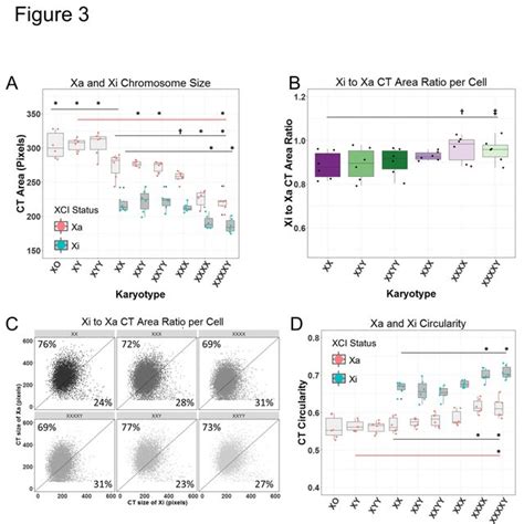 Radial Positioning Of Chromosomes 18 X And Y In Sca Nuclei A