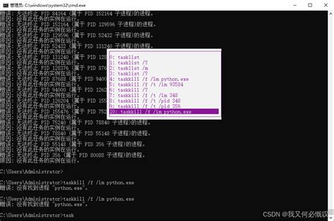 结束后台成百上千个python exe 没有此任务的实例在运行 CSDN博客