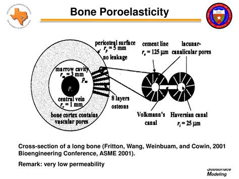 Ppt Coupling Of Mfe Or Mimetic Finite Differences With Discontinuous
