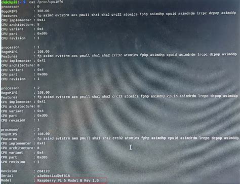 Ultimate Guide To Raspberry Pi 5 Monitor Tips Tricks MAGEX
