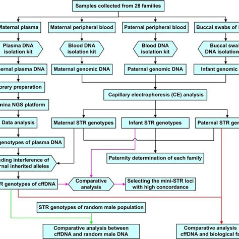 Schematic Representation Of Library Preparation And Ngs Sequencing Download Scientific Diagram