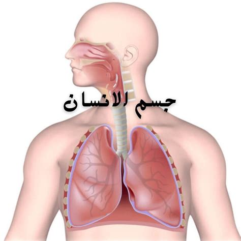 جسم الانسان Apk For Android Download