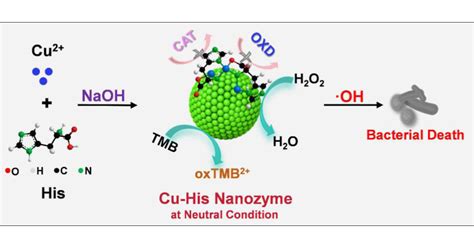 Specific Peroxidase Like Nanozyme With Boosted Activity At Neutral Ph