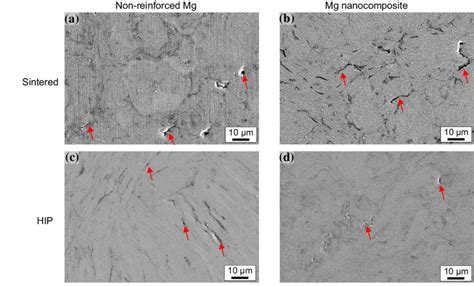 Sem Micrographs Of A B Sintered And C D Hiped Non Reinforced Mg And