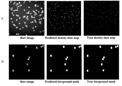 Automated Counting Of Cancer Cells By Ensembling Deep Features