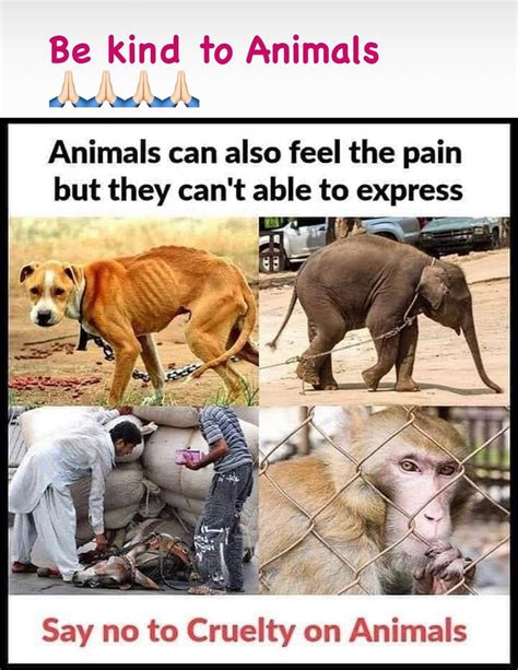 Zaki Mohammed Posted On Linkedin