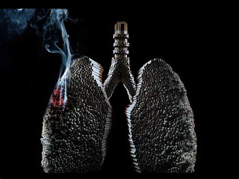 ჯანსაღი ცხოვრების წესის პოპულარიზაცია октября 2015