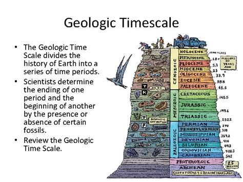 Figuring Out Fossils Geologic Timescale The Geologic Time