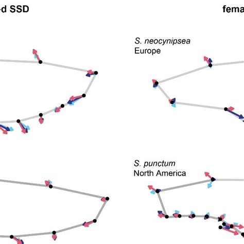 Wing Shape Deformations Associated With Mating Success Pls Download Scientific Diagram