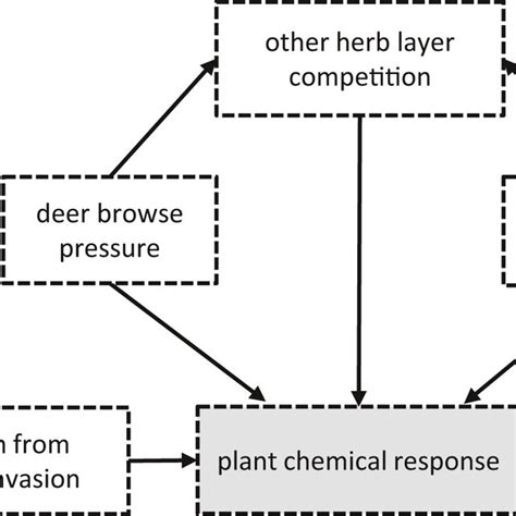 Structural Equation Meta‐model Semm A System‐wide Hypothesis Of Download Scientific Diagram