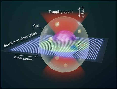 浮遊生細胞の3dイメージングのためのotsmを開発 Researchers Develop Otsm For 3d Imaging Of