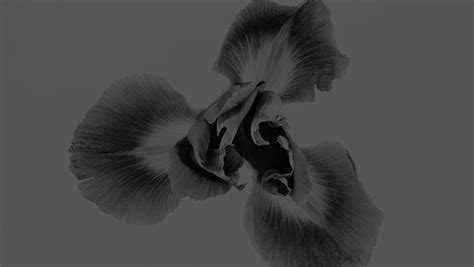 Hands On Classificação Com Knn E K Means Blog Ateliware