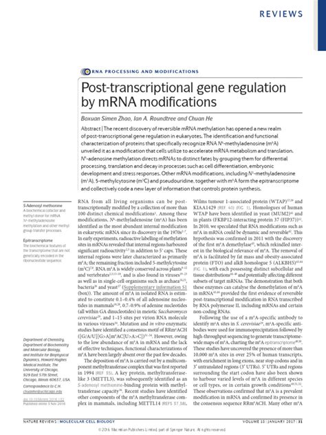 mrna modifications download free pdf messenger rna alternative