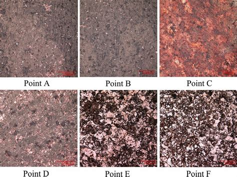 Evolution Of Narloy Z Surface Morphology During The Polarization Curve
