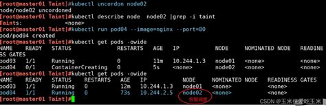 kubernetes关于k s集群的污点容忍驱逐以及k s集群故障排查思路 阿里云开发者社区