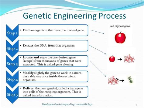 The Ultimate Guide To Genetic Engineering Ruby Answer Key Exposed