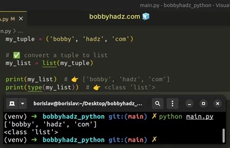 Attributeerror Tuple Object Has No Attribute X In Python Bobbyhadz
