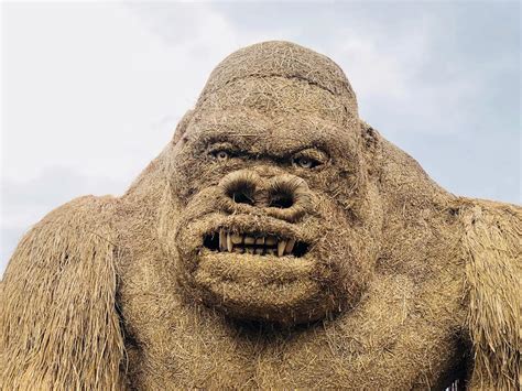 Fosseis De Gigantopithecus