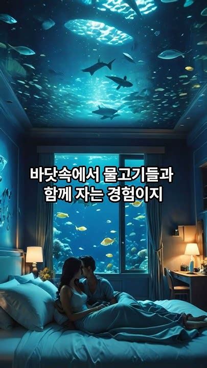 세계에서 가장 독특한 호텔 Top 5 여행 이슈 Travel 해외여행 유럽여행 Youtube