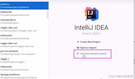 Idea 如何合并其他分支的指定文件或代码块到当前分支 （idea中git分支、合并与使用） 编程库